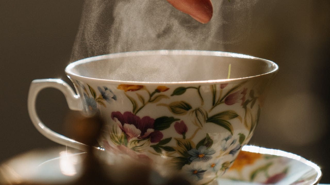 Planta Saião: Confira os Benefícios do Saião