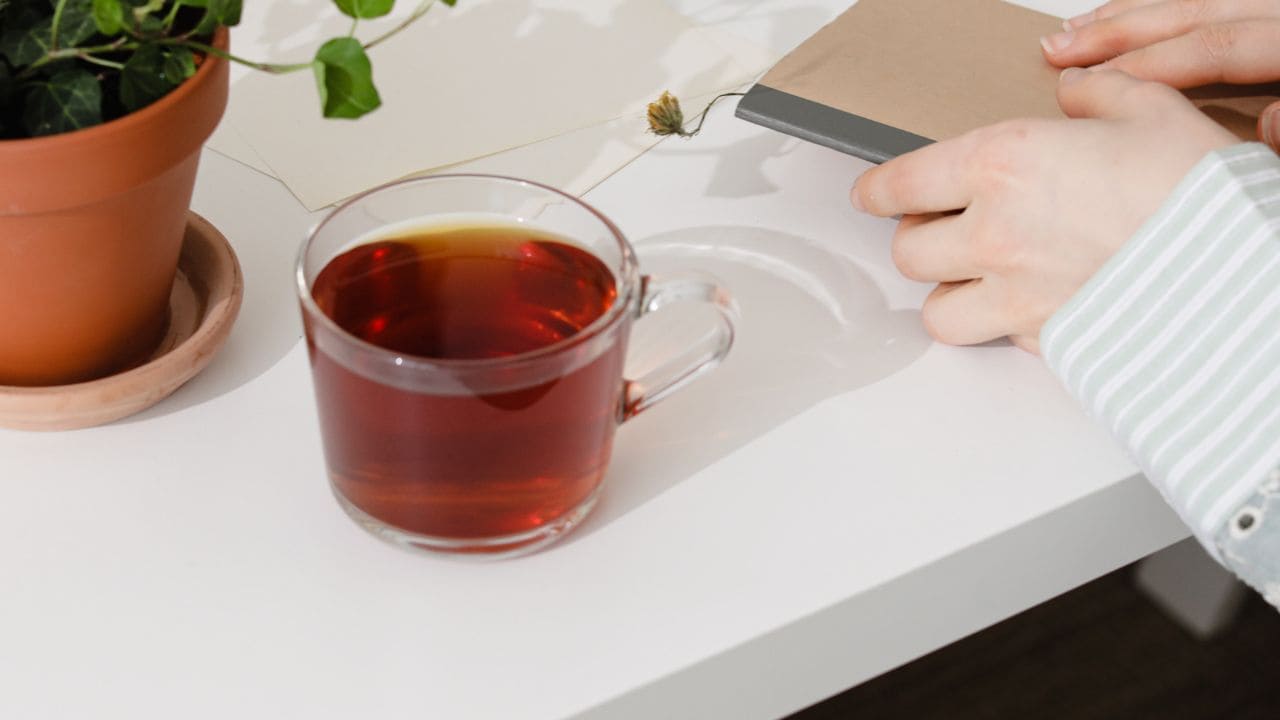 Planta Saião: Confira os Benefícios do Saião