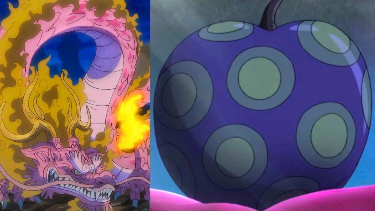 Todas as Akuma no Mi (Frutas de One Piece): A Árvore das Akuma no Mi, Explicada!